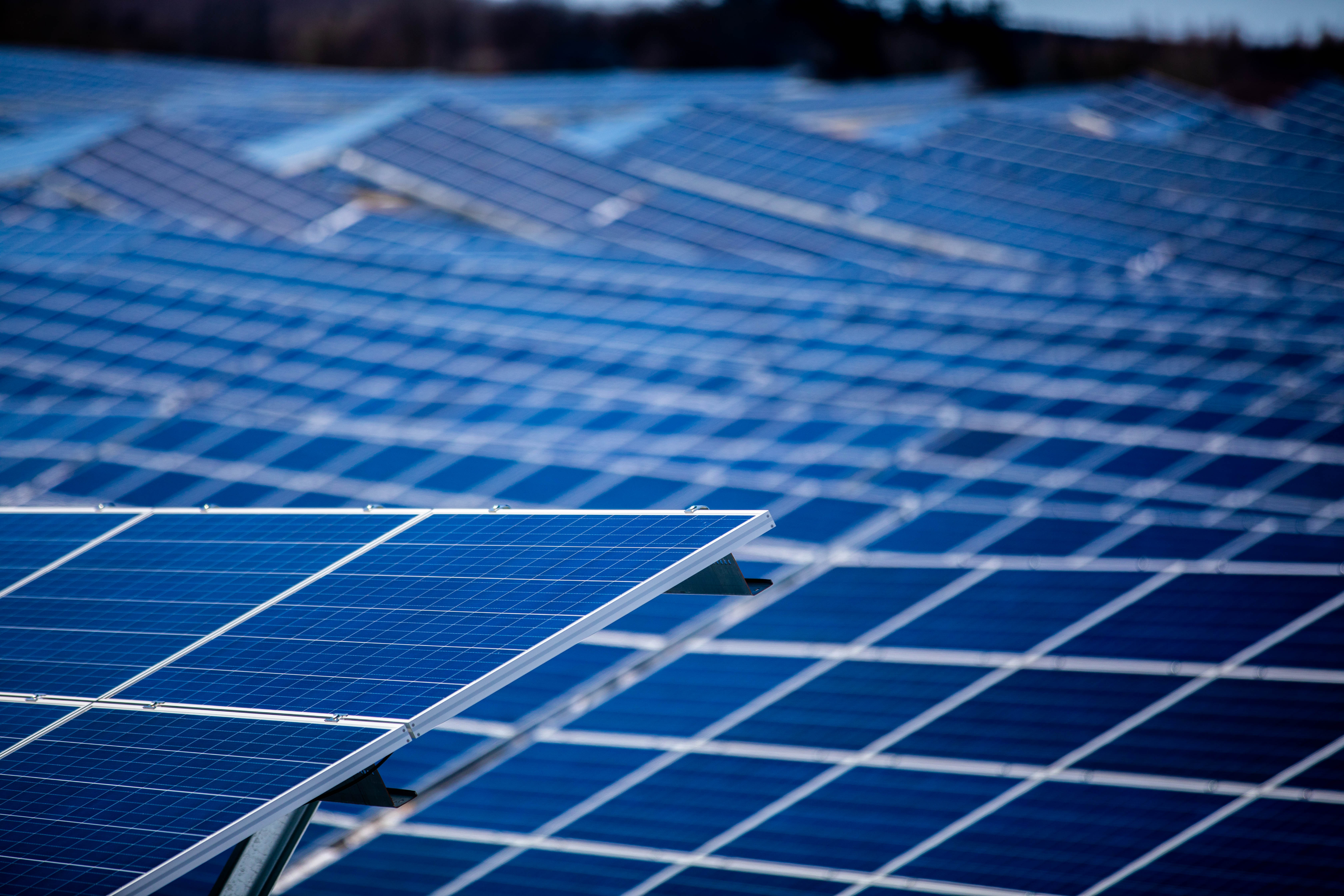 A Net-Zero Future A Net-Zero Future